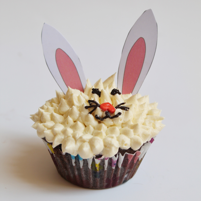 Featured Collection – Dream a Dozen